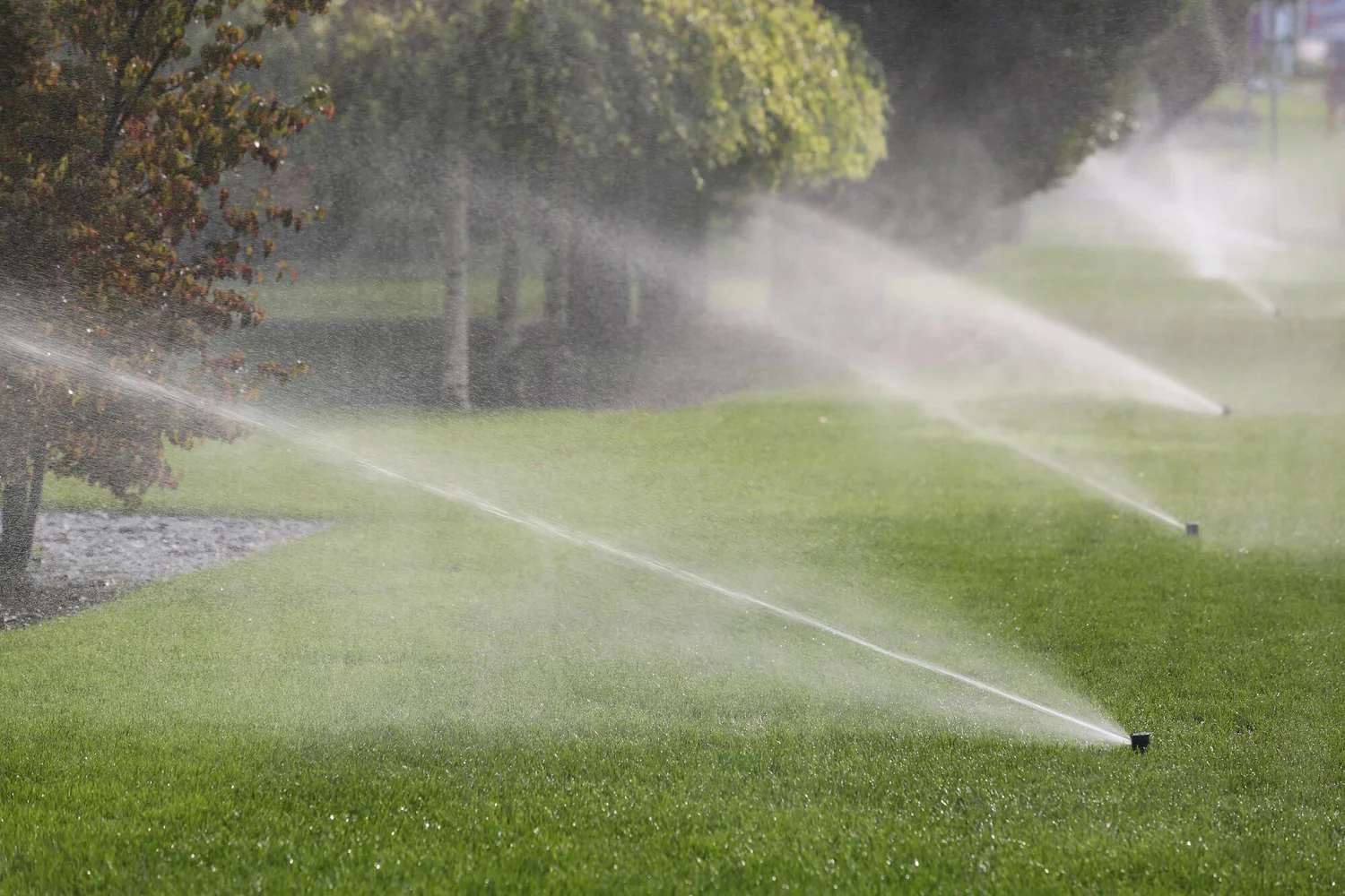 Why Does My Sprinkler System Skip a Zone? | Andy’s Sprinkler