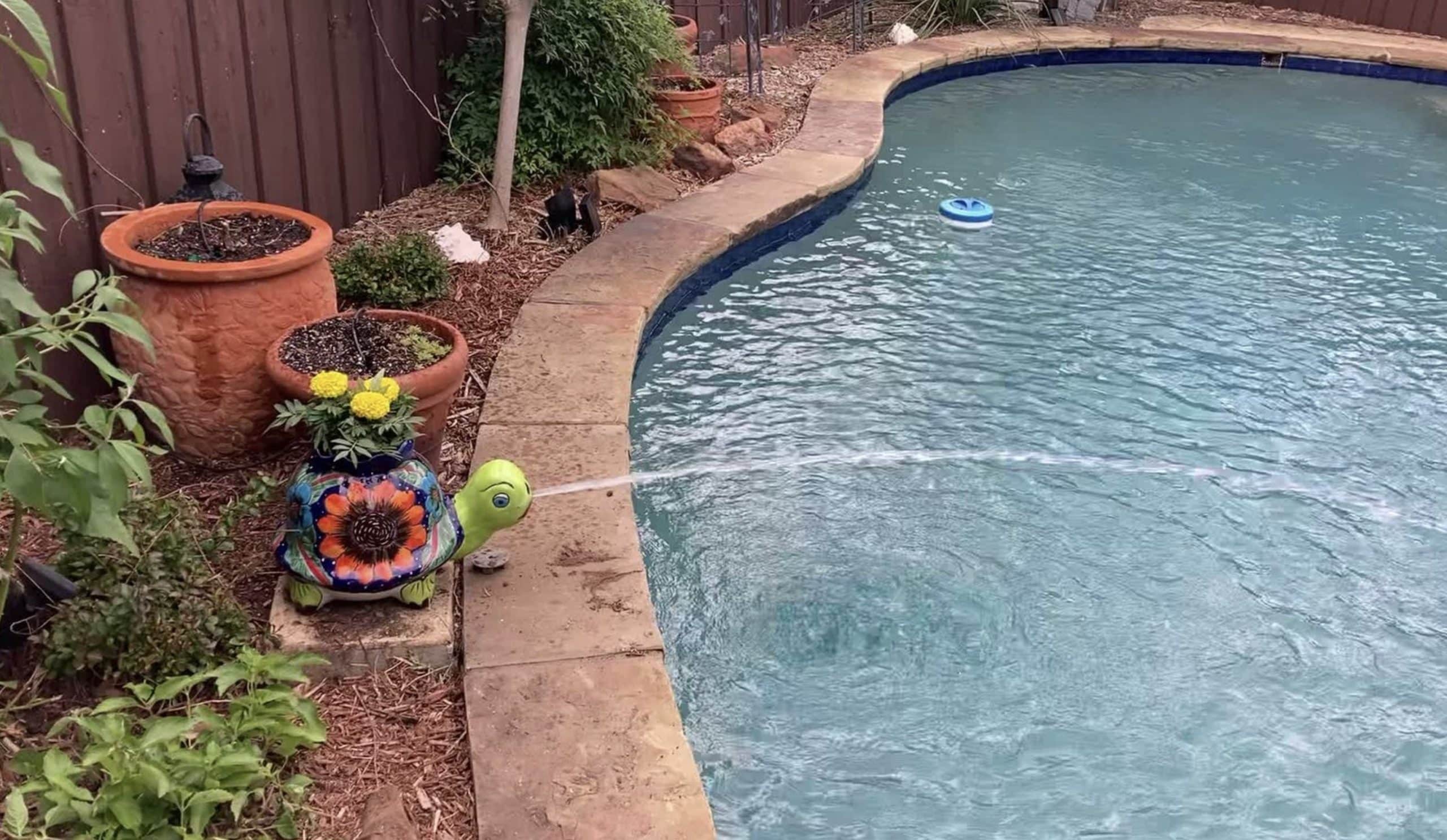 Thinking about installing a pool? Call Andy’s First! - Andy’s Sprinkler ...