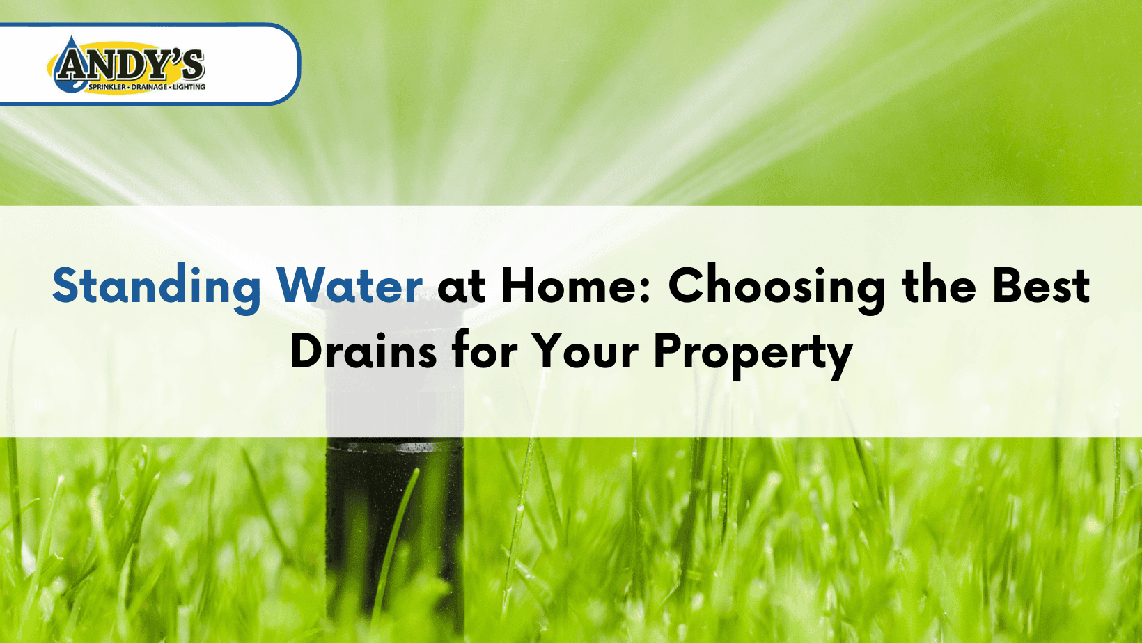 Standing Water Solutions | Choosing The Best Drains - Andy’s Sprinkler ...