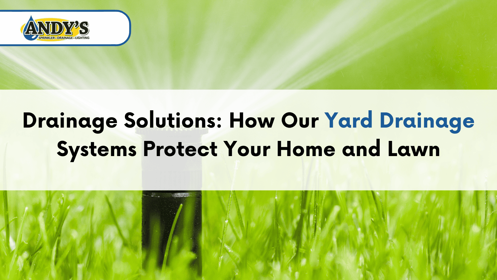 Yard Drainage: Protecting Your Home and Lawn - Andy’s Sprinkler ...