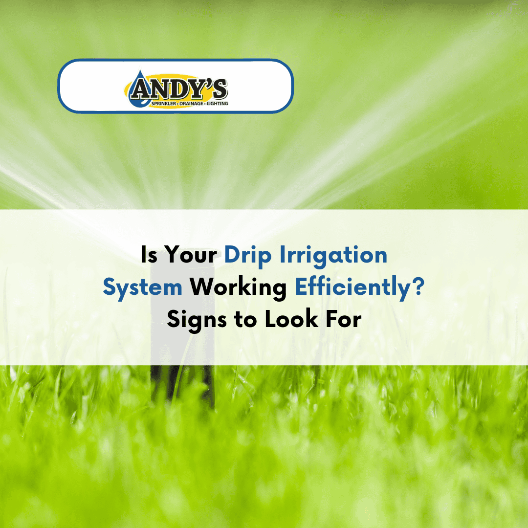 Diagnose Drip Irrigation Issues: What to Look For - Andy’s Sprinkler ...